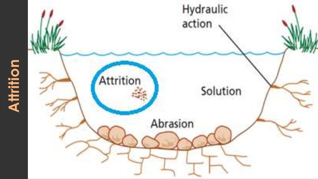 Coastal Erosion- M Shahriar Sonet