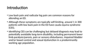 diagnosis of cauda equina syndrome in ER | PPTX