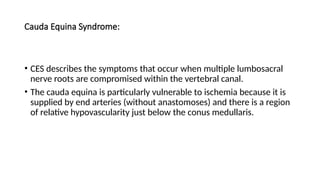diagnosis of cauda equina syndrome in ER | PPTX