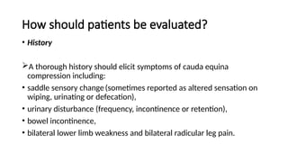 diagnosis of cauda equina syndrome in ER | PPTX