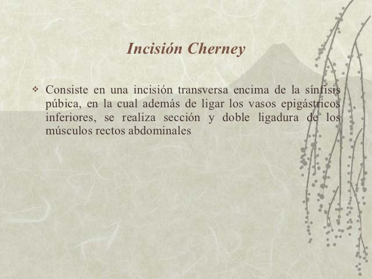 Cesárea (Exposición PPT- BUAP 2011)