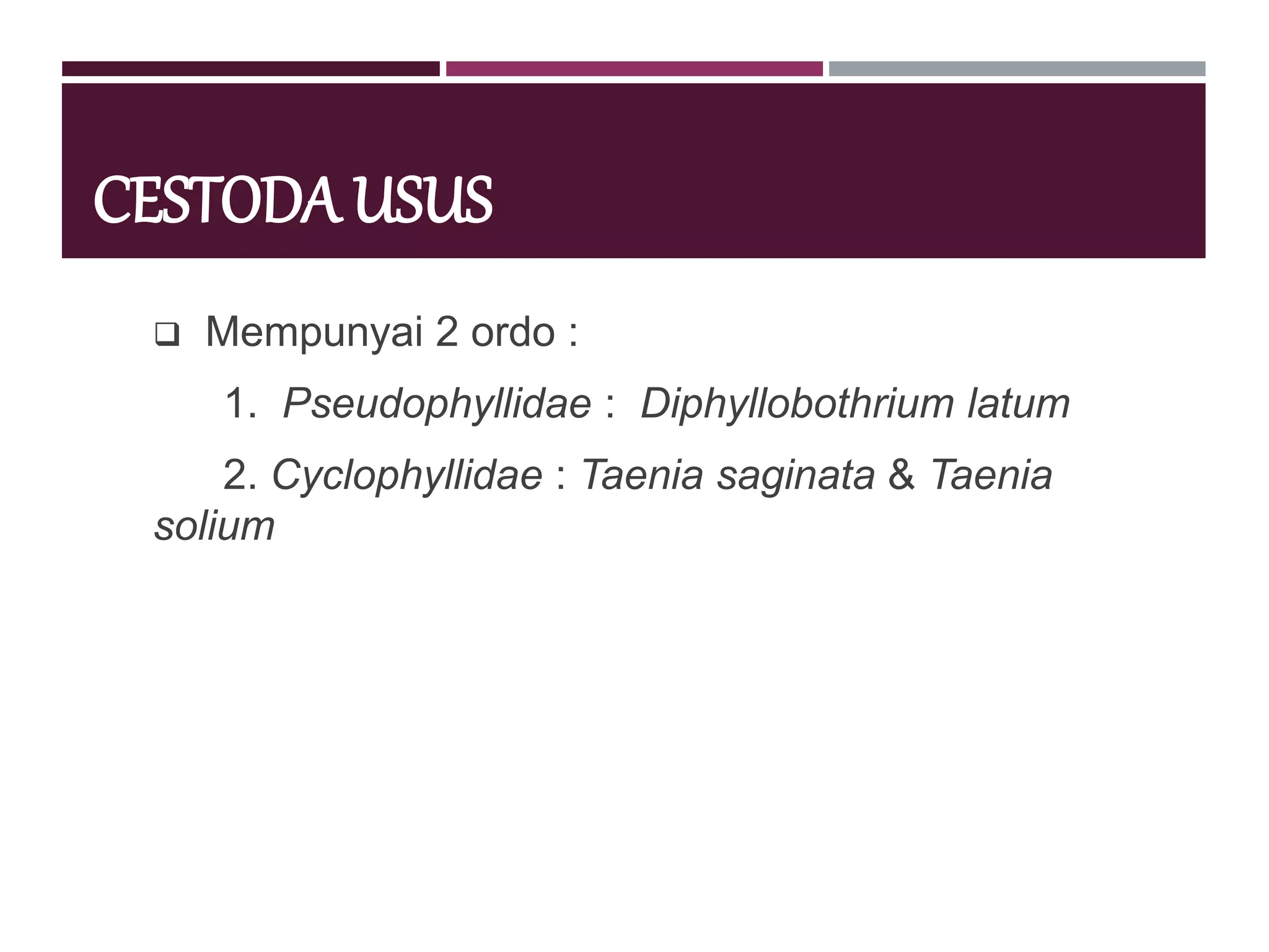 Cestoda.ppt