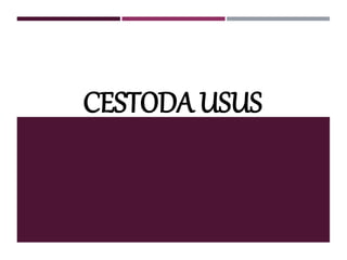 Cestoda.ppt