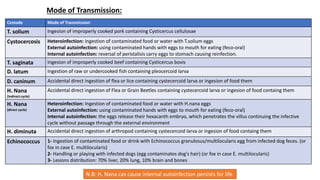 Cestoda Summary for Medical Parasitology | PPTX
