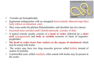 Cestode.pdf
