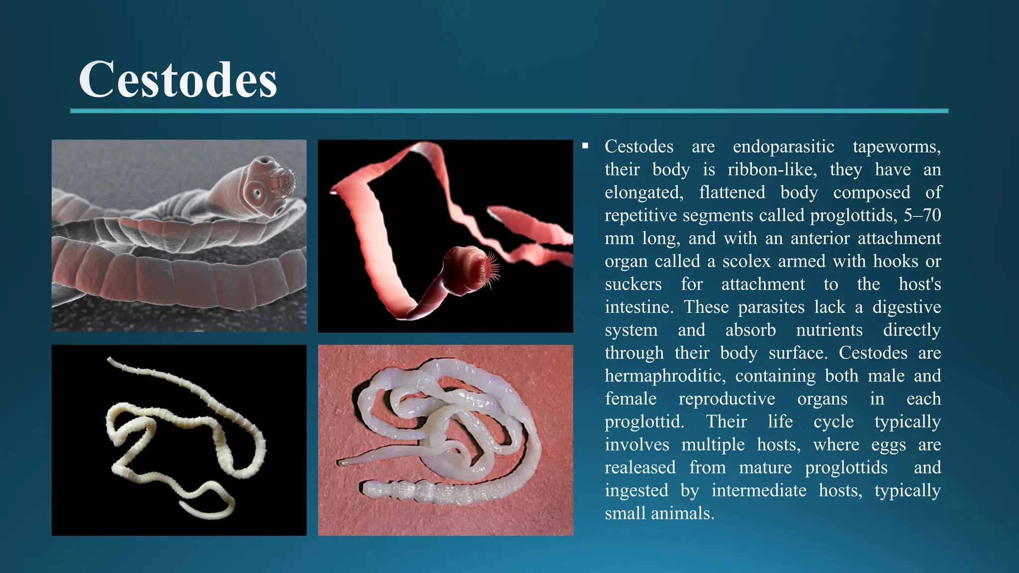 Cestode Infestation -villanuevaxxxx.pdf