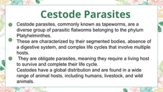 Cestode Parasite main focus on Taenia and Echinococcus | PPTX