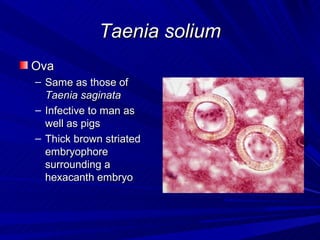 Cestodes | PPT