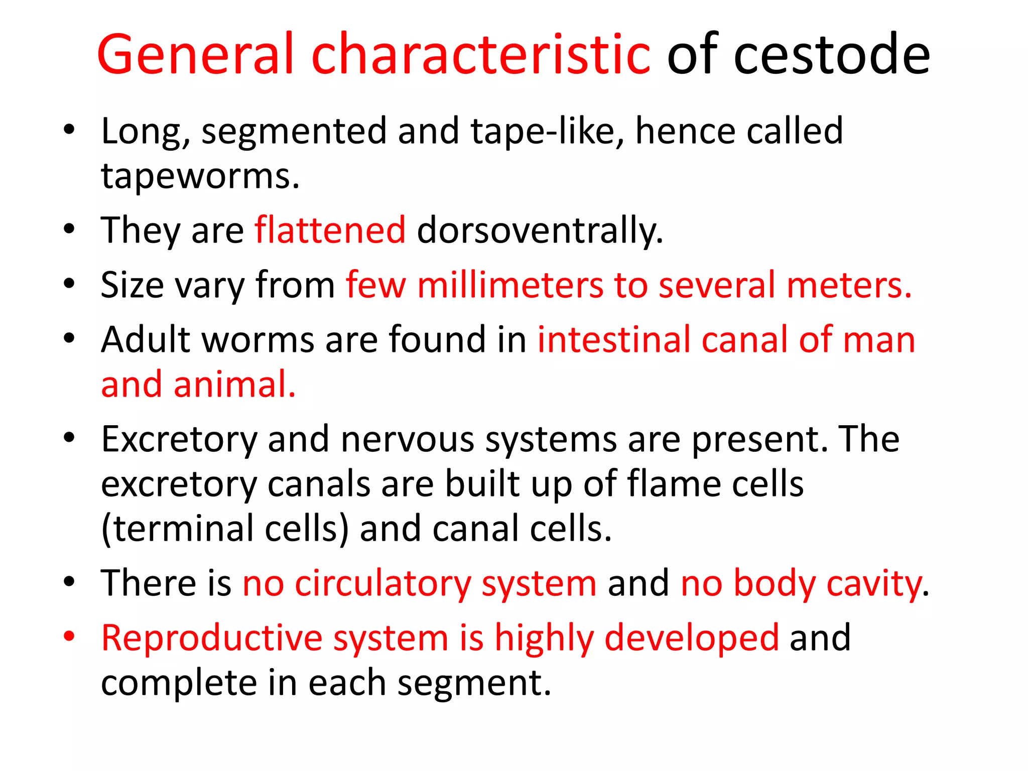 Cestodes | PPTX