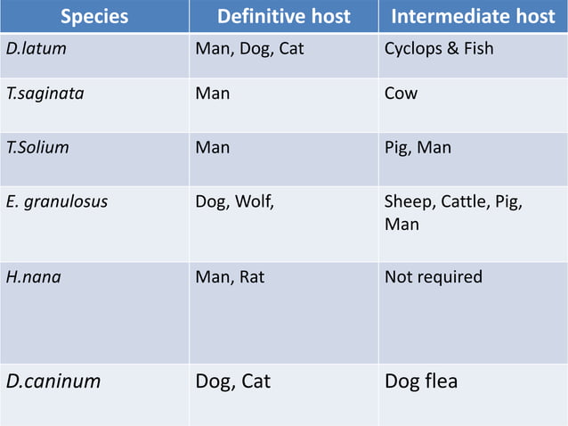 Cestodes | PPTX | Reptiles | Pets