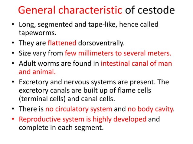 Cestodes | PPTX | Reptiles | Pets