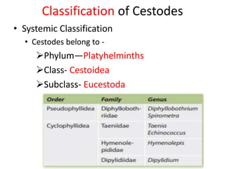 Cestodes | PPTX