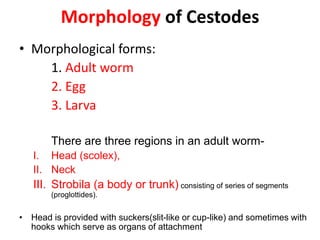 Cestodes | PPTX | Reptiles | Pets