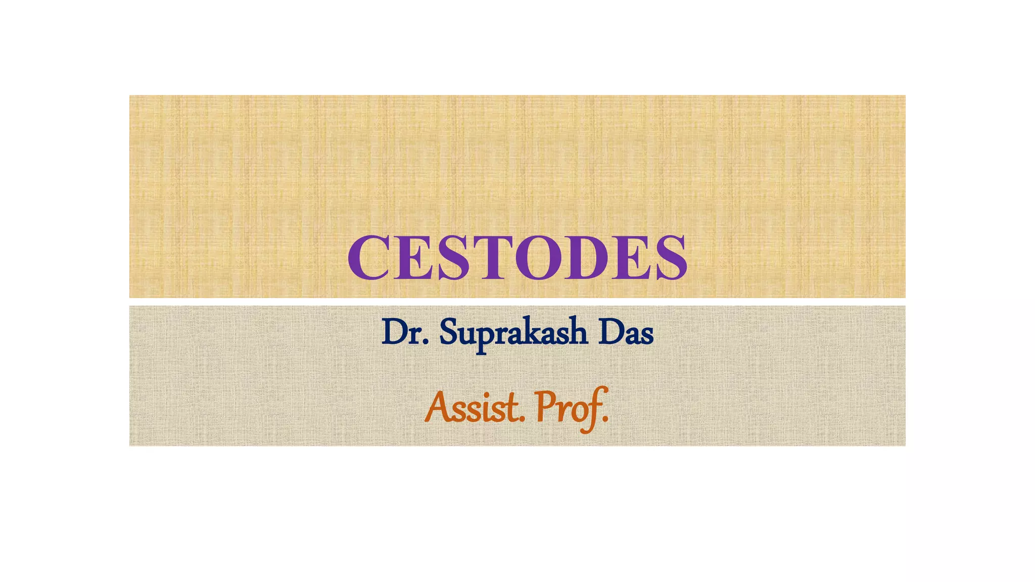 Cestodes | PPTX | Reptiles | Pets