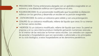 Cestodes - PARASITOS EN ANIMALES Y HUMANOS | PPT