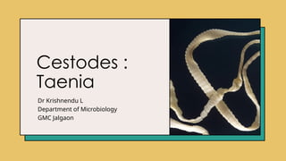 Cestodes : Taenia saginata and taenia solium | PPTX