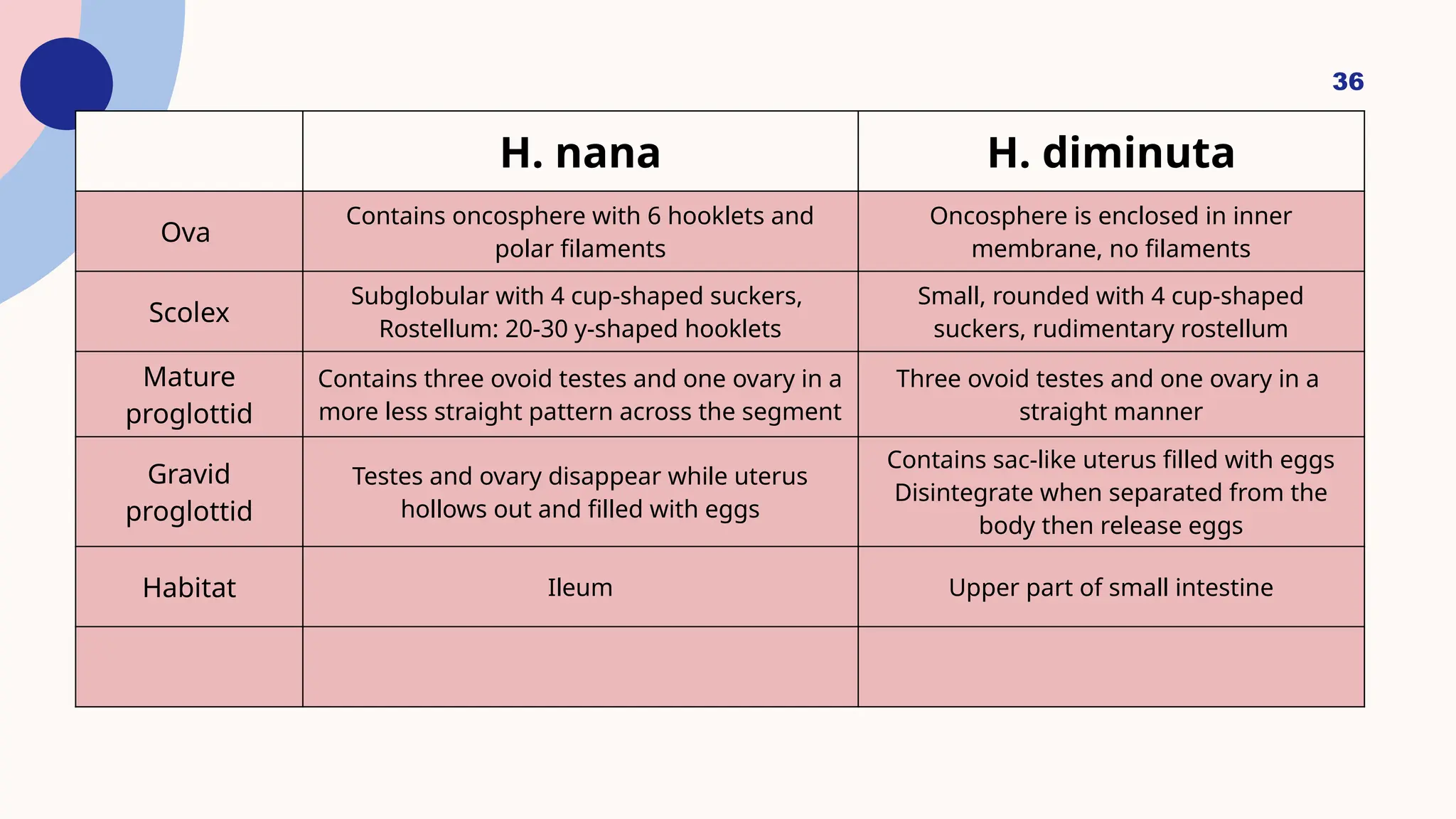 Cestodes parasitology powerpoint presentation | PPTX
