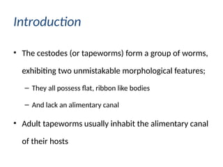 Parasites classification CESTODES class.pptx