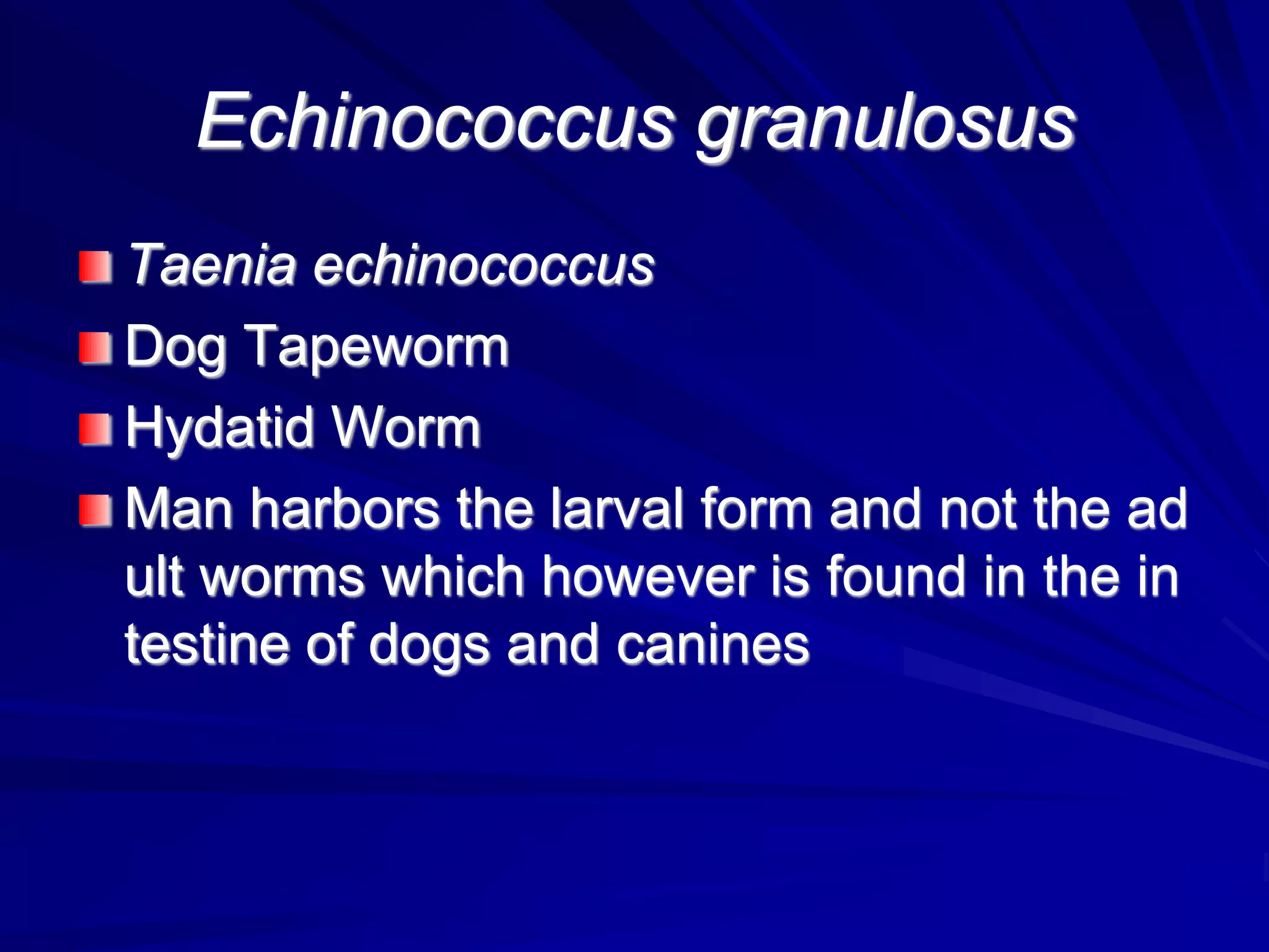 CESTODES_-II.pptx | Infectious Diseases | Diseases and Conditions