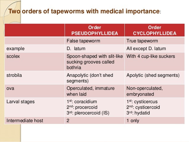 Cestodes and trematodes