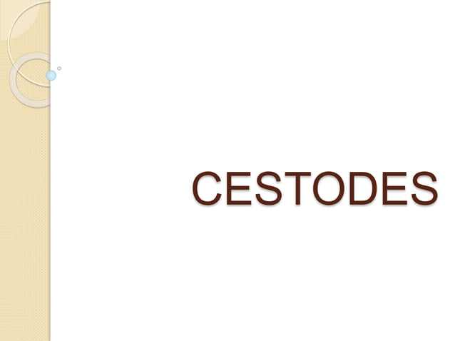 Cestodes and trematodes | PPTX