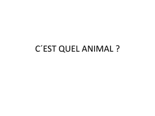 C´est quel animal | PPTX