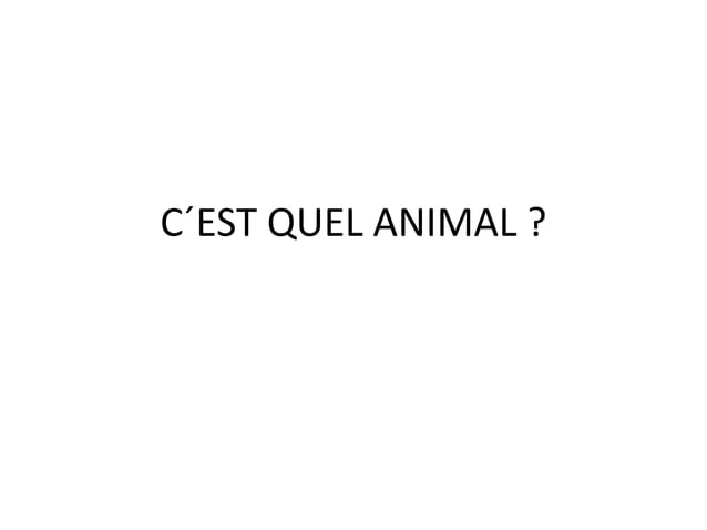 C´est quel animal | PPTX