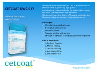 CETCON Brochure | PDF