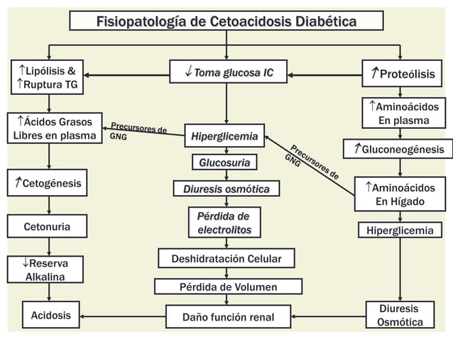 Cetoacidos diabética | PPT