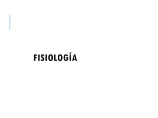 cetoacidosis diabética y tratamiento ssddd | PPTX