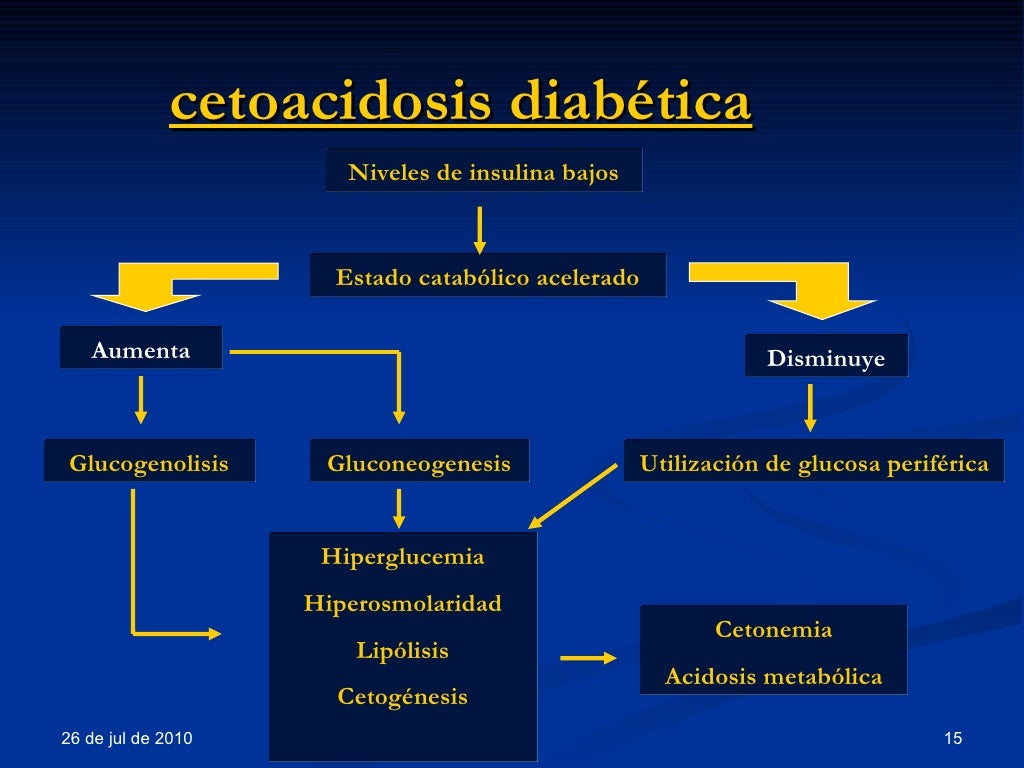 Resumo De Cetoacidose Diabetica Fisiopatologia Quadro Clinico Images