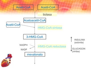 Cetogenesis cetolisis | PPTX