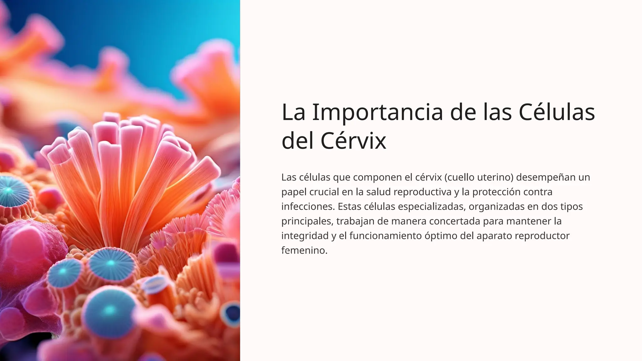 CEULAS DEL CERVIX PARA ESTUDIO DE LA NATOMIA INTERNA DE LA MUJER.pptx