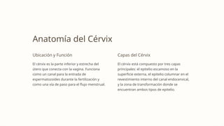 CEULAS DEL CERVIX PARA ESTUDIO DE LA NATOMIA INTERNA DE LA MUJER.pptx