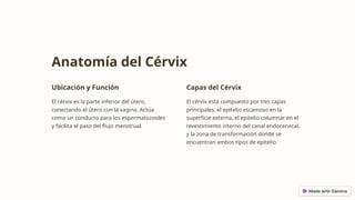 CEULAS DEL CERVIX PARA ESTUDIO DE LA NATOMIA INTERNA DE LA MUJER.pptx