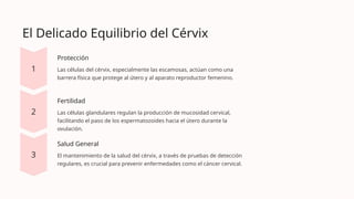 CEULAS DEL CERVIX PARA ESTUDIO DE LA NATOMIA INTERNA DE LA MUJER.pptx