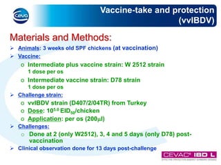 Cevac ibd l jan 14 | PPT
