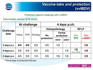 Cevac ibd l jan 14 | PPT