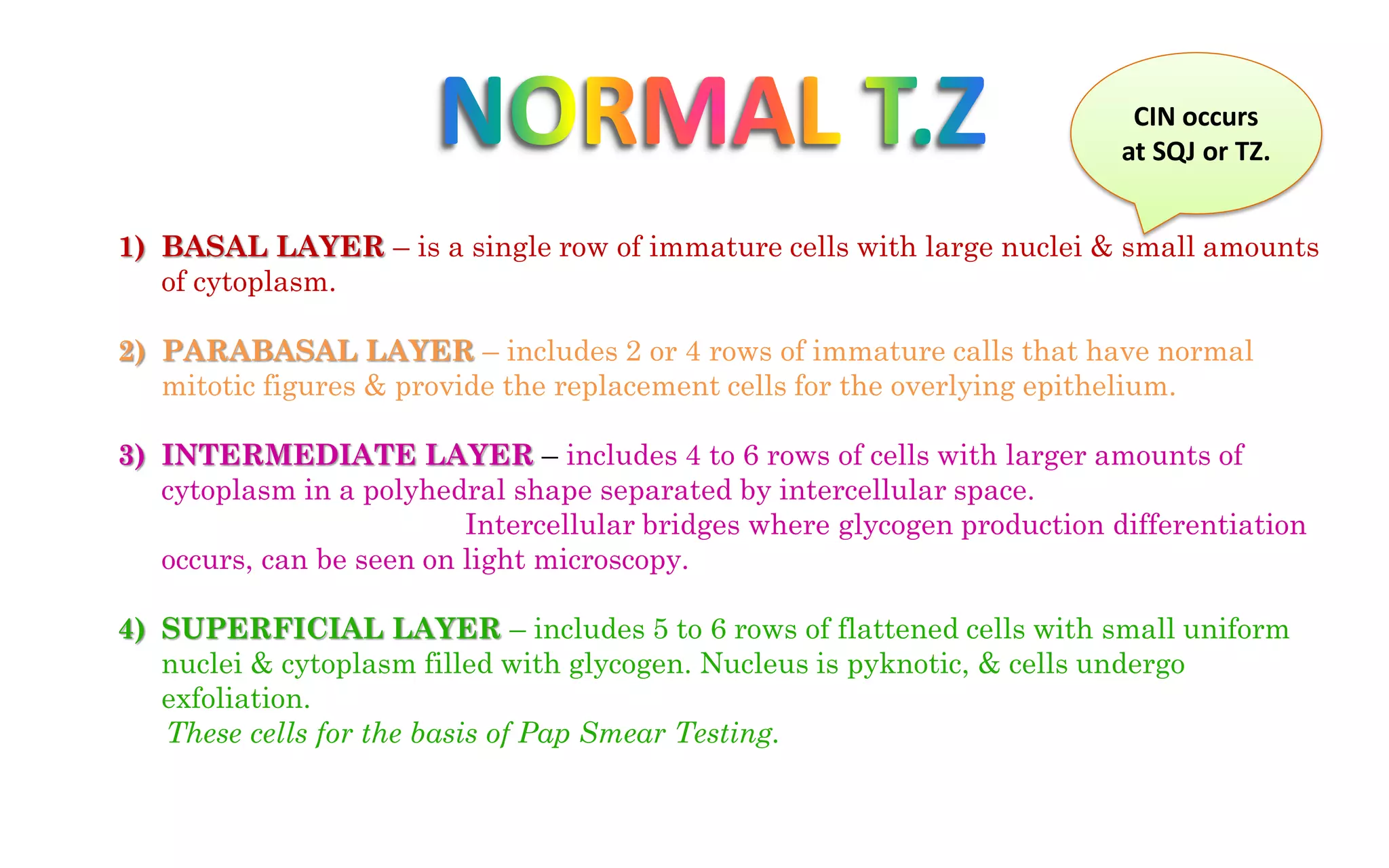 Cevical intraepithelial neoplasia & screening ppt | PDF