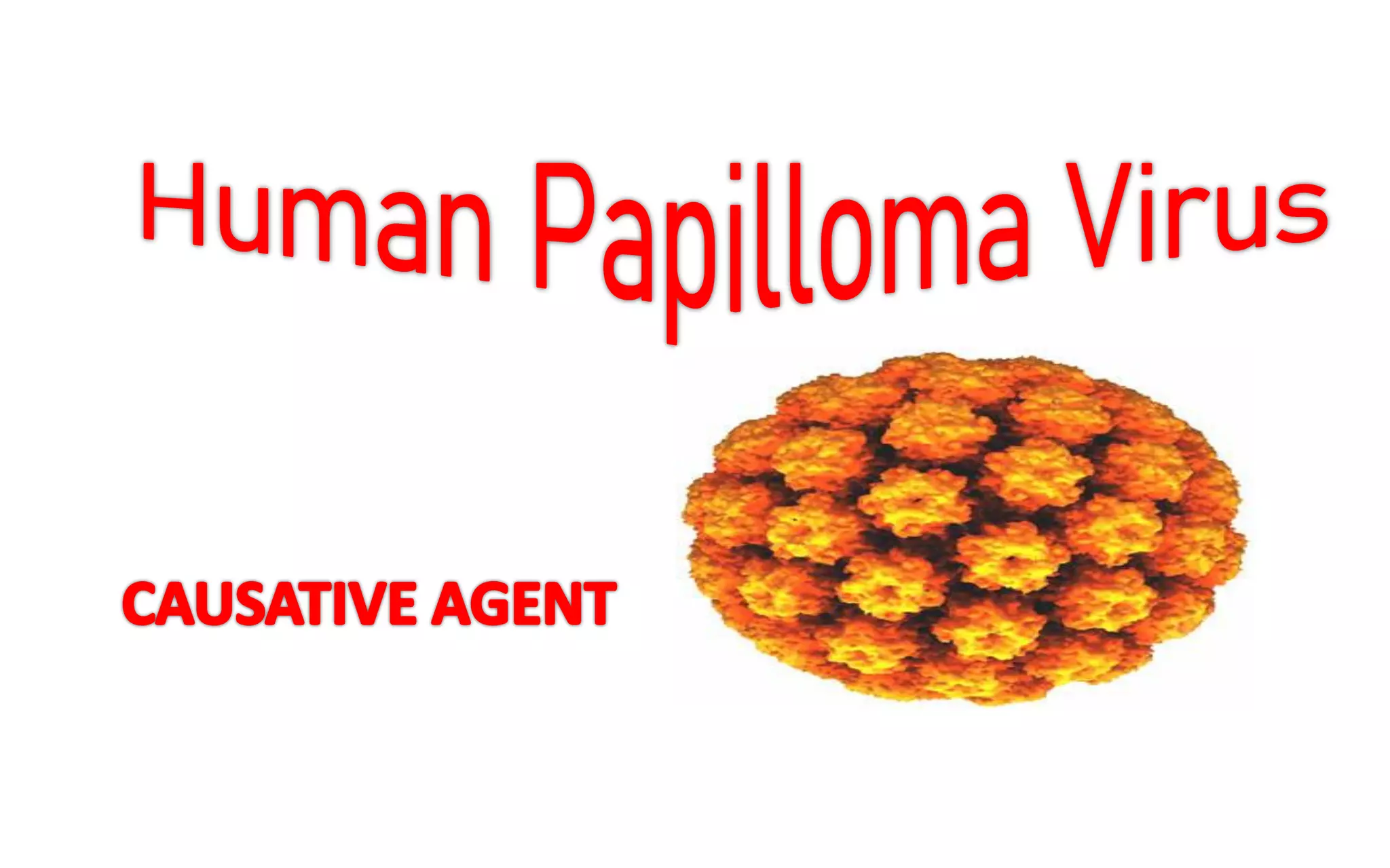 Cevical intraepithelial neoplasia & screening ppt | PDF