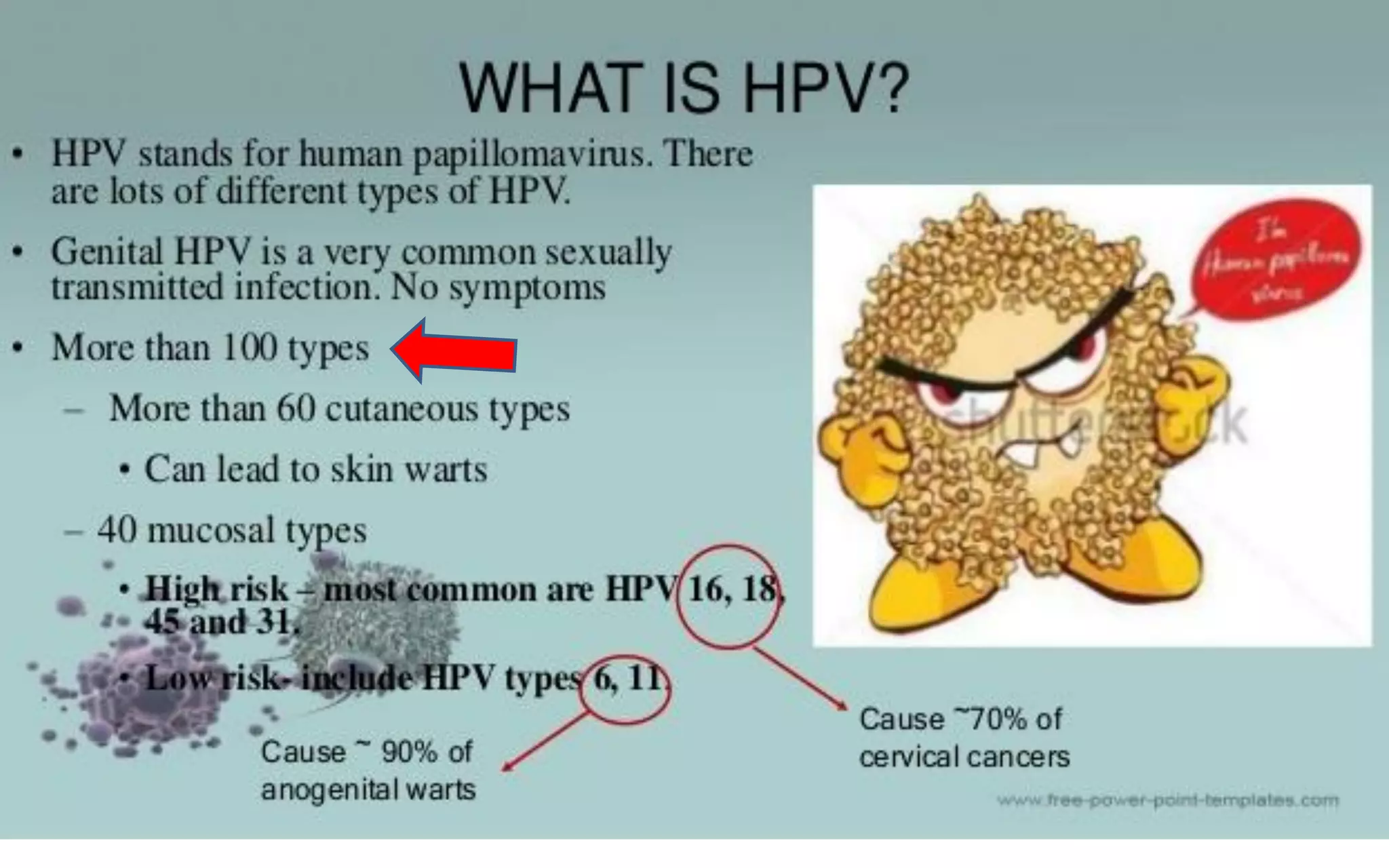 Cevical intraepithelial neoplasia & screening ppt | PDF