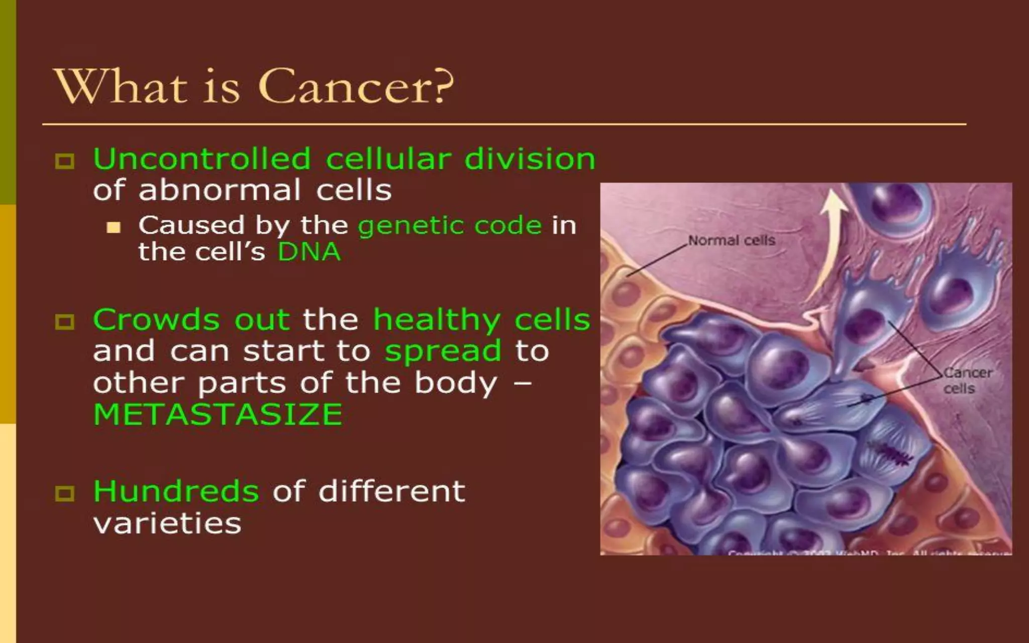Cevical intraepithelial neoplasia & screening ppt | PDF
