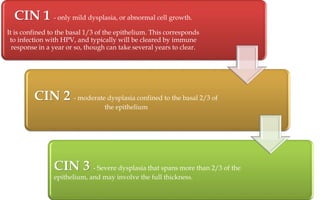 Cevical intraepithelial neoplasia & screening ppt | PDF