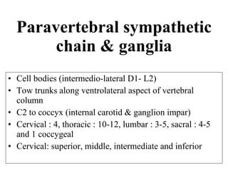 Paravertebral Cevical Sympathetic Block | PPT | Death, Injury, or ...