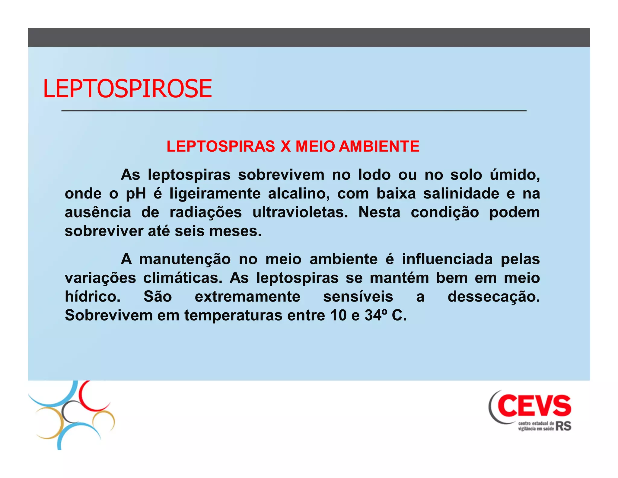 Leptospirose | PDF