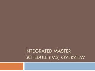 Integrated Master Plan Development | PDF