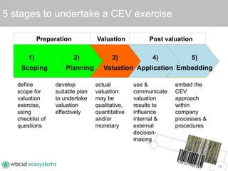 Cev workshop jan 12 wbcsd slides | PPT