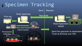 Overview: The Center of Excellence in Wireless & Information Technology ...