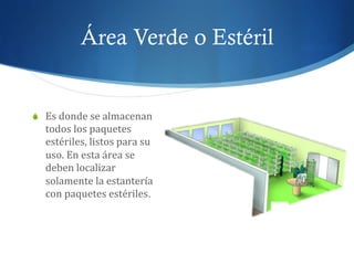 Ceye Pdf