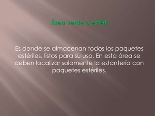 CEyE | PPTX